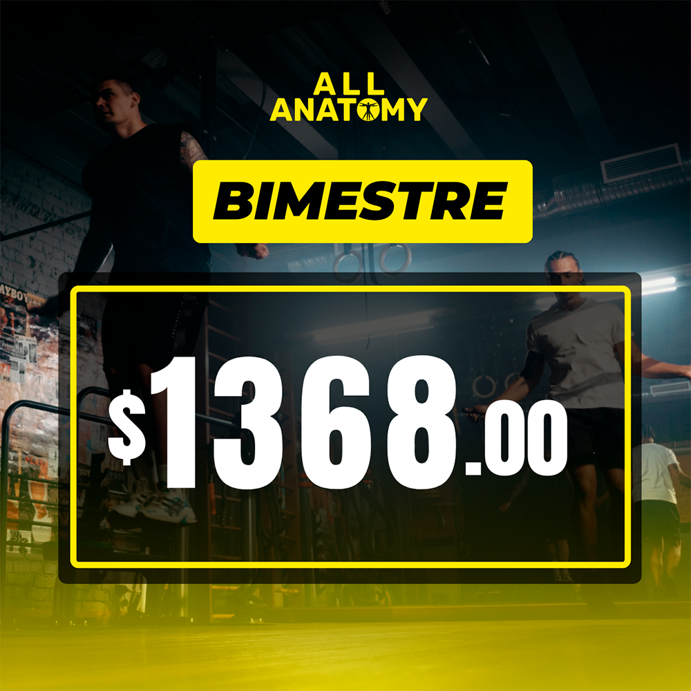 Bimestre – All Anatomy
